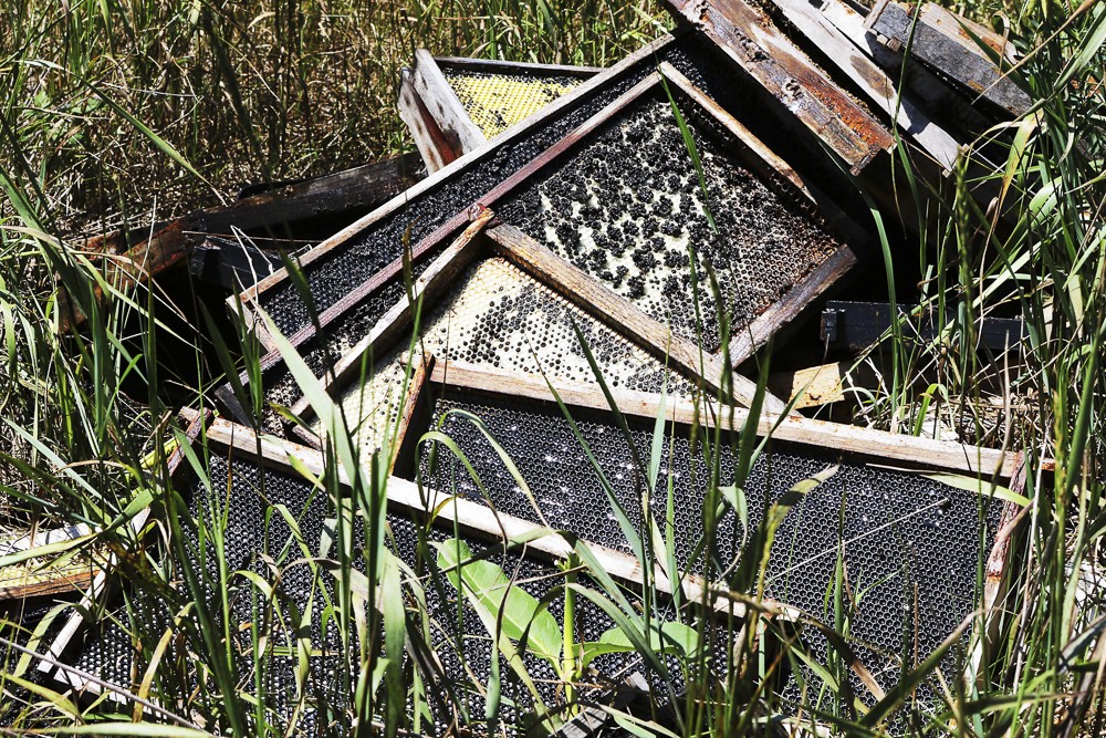 New York State Archives | Allman Environmental Services Photography